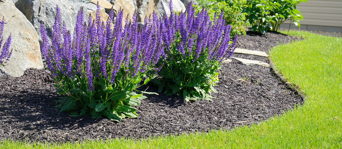 Mulching | Mid-States Lawn Care, LLC - St. Louis Area Lawn Care and ...